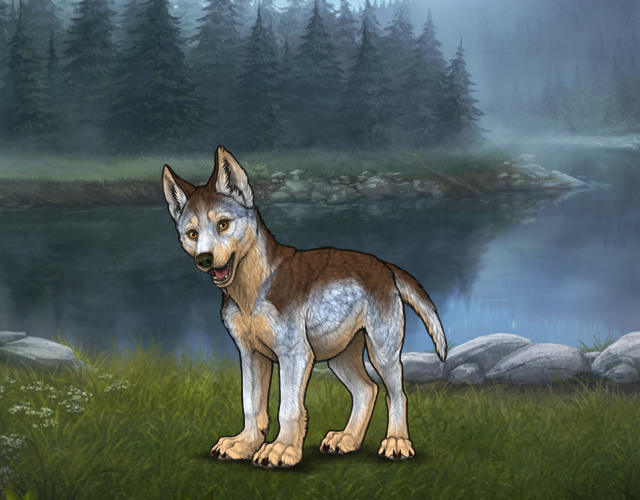 New Runt Puppy |:| Wolvden