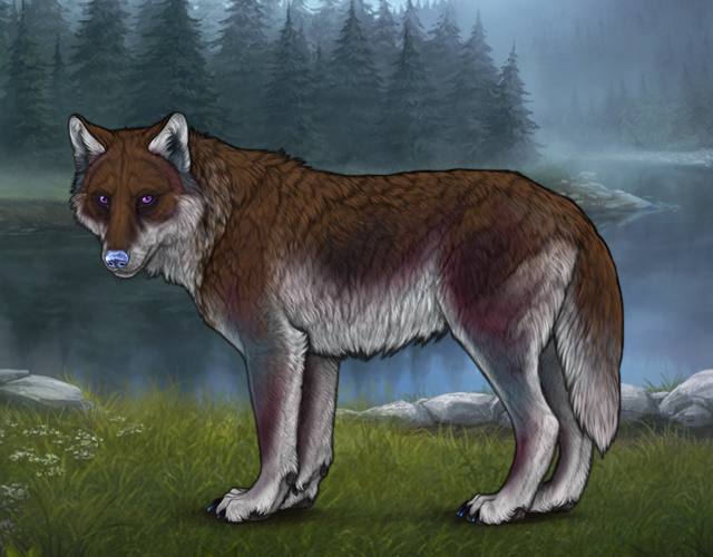 $ T2 7M MALE |:| Wolvden