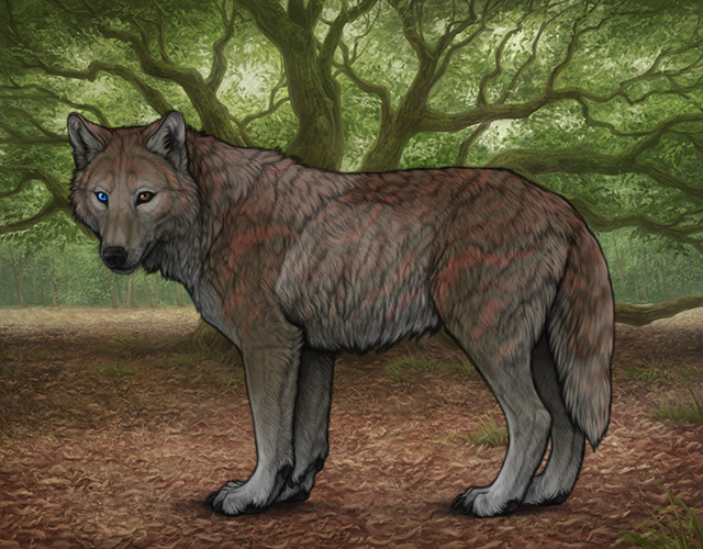 New Runt Puppy |:| Wolvden