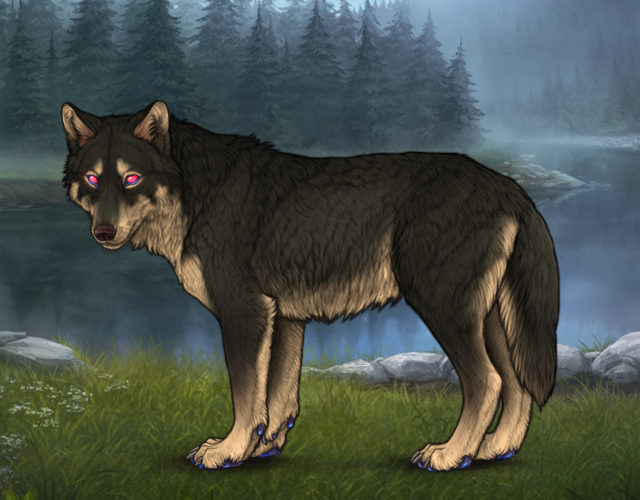 Chased Wolf Spotting - Revamped |:| Wolvden