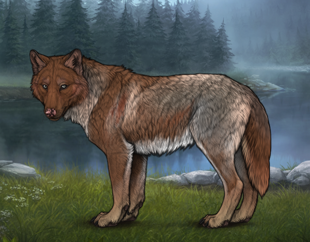 Chased Wolf Spotting - Revamped |:| Wolvden