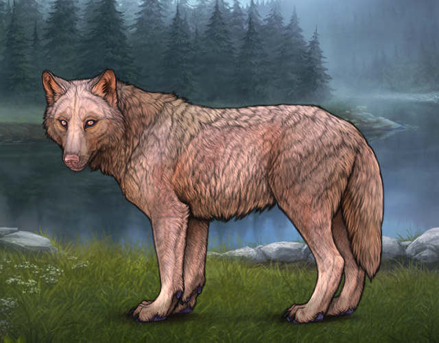 New Puppy |:| Wolvden