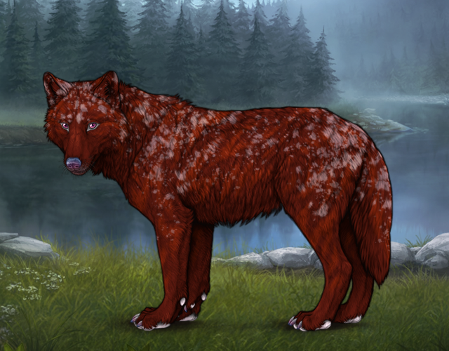Crimson Splatter |:| Wolvden