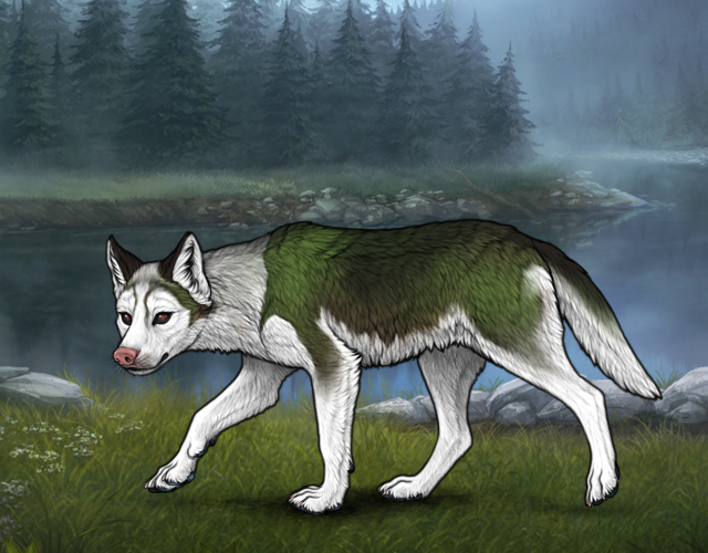 grossular t2 6m |:| Wolvden