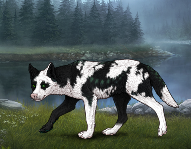 sell PIEBALD!! |:| Wolvden