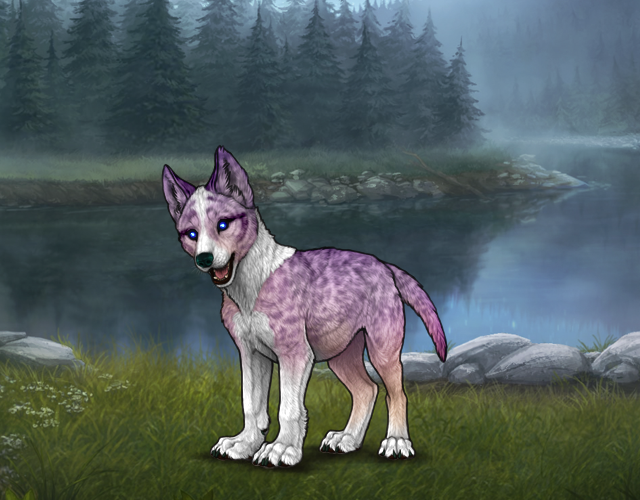 Chased T3 Female - Aloof |:| Wolvden