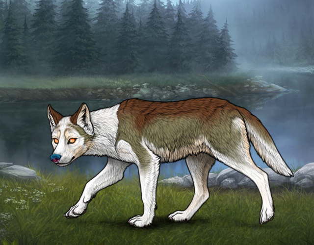 looking for specific colored wolves |:| Wolvden