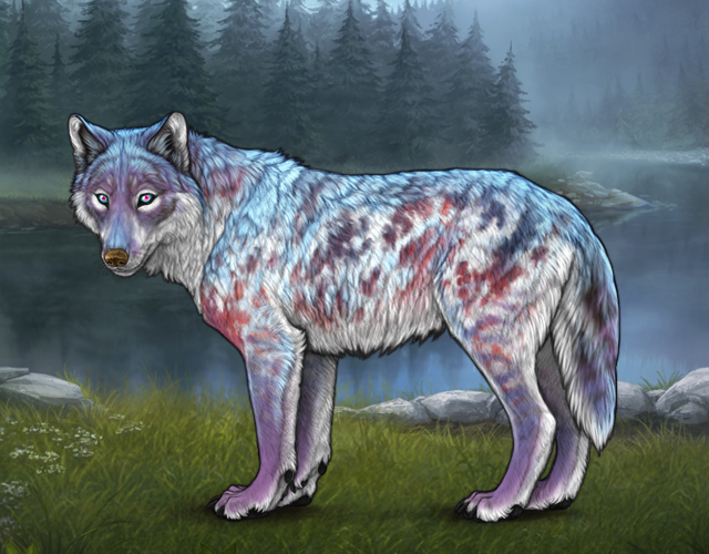 Chased Wolf Spotting - Revamped |:| Wolvden