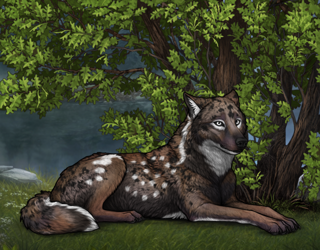 New Befriended Wolf |:| Wolvden