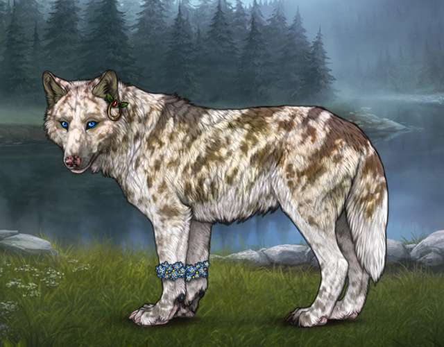 Piebald: Zerdava | Male |:| Wolvden