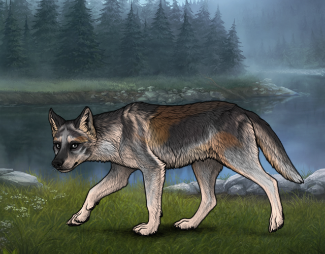 New Puppy |:| Wolvden