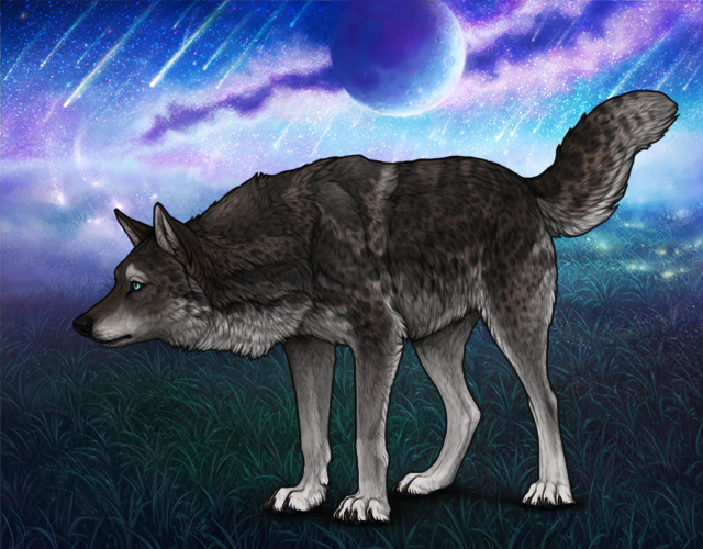 Chased Wolf Spotting - Revamped |:| Wolvden