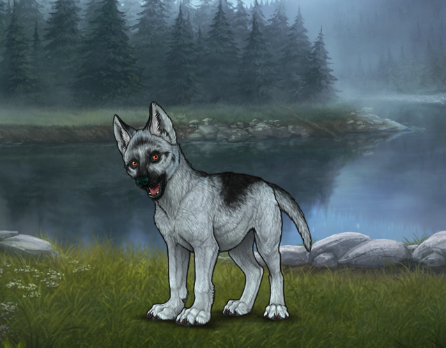 4 giveaway T3 & T6 |:| Wolvden