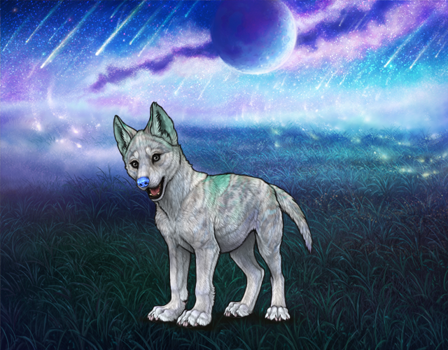 New Runt Puppy |:| Wolvden