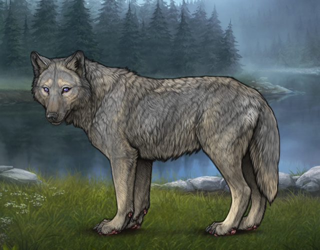 New Befriended Wolf |:| Wolvden