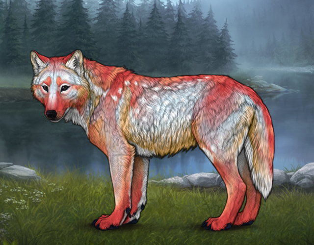 New Befriended Wolf |:| Wolvden