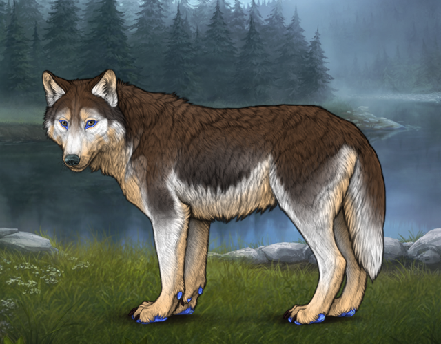 Primrose |:| Wolvden