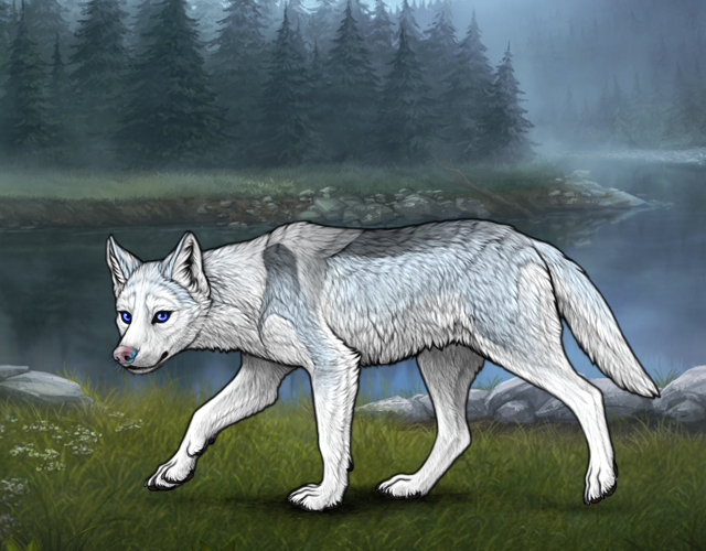 Chased Wolf Spotting - Revamped |:| Wolvden
