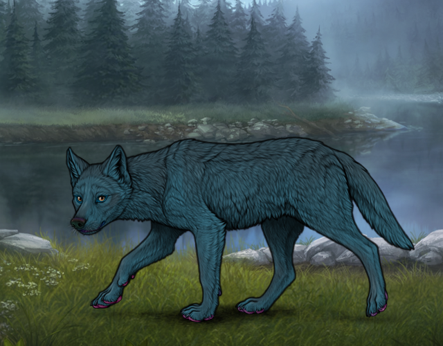 Hetero Black & White |:| Wolvden