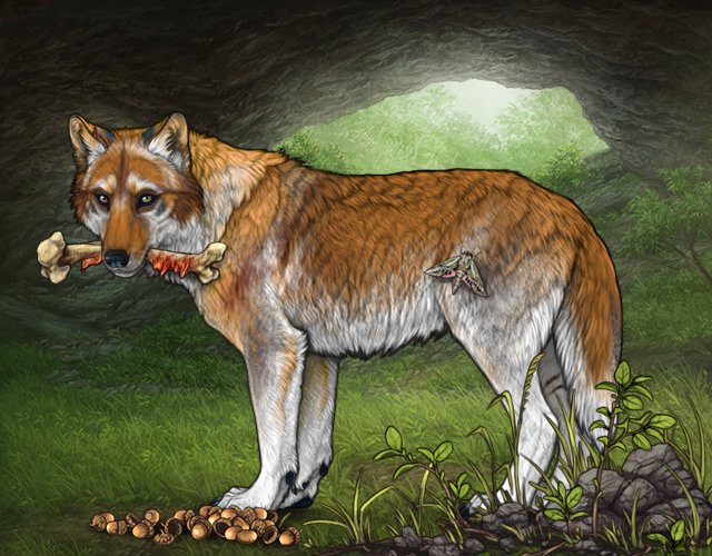 Solistis G2 alb/Mel carry |:| Wolvden