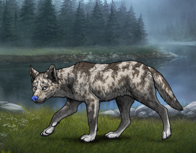 New Puppy |:| Wolvden