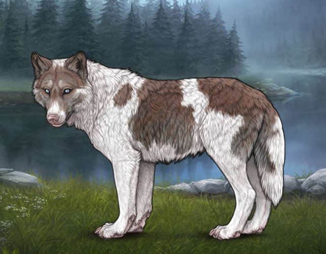 νέφους(Cloud) |:| Wolvden