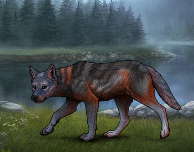 high stat,sell |:| Wolvden
