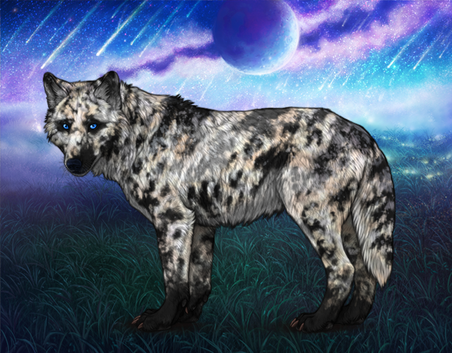 Chased Wolf Spotting - Revamped |:| Wolvden