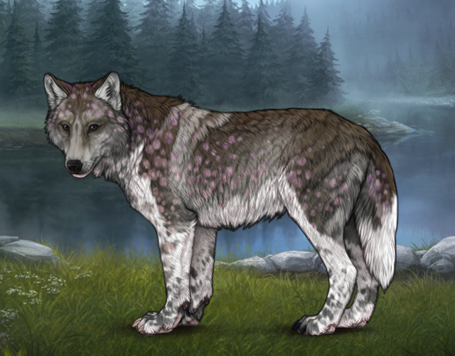 Alb/Mel? Zerdava |:| Wolvden