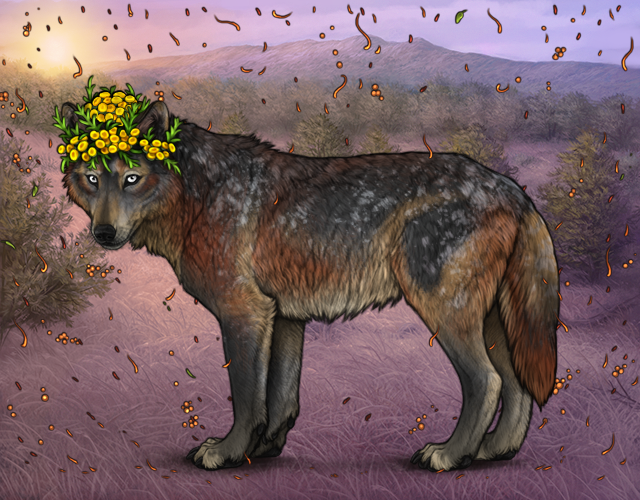 Chased Wolf Spotting - Revamped |:| Wolvden