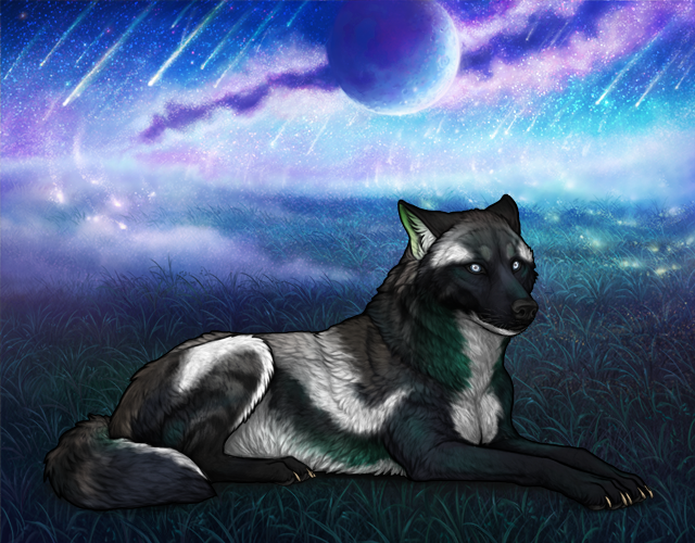 Meet 𝓥𝓲𝓻𝓲𝓸𝓷 // T3 Caribou Stud // Husky👀 // 9M // 700+ stats |:| Wolvden