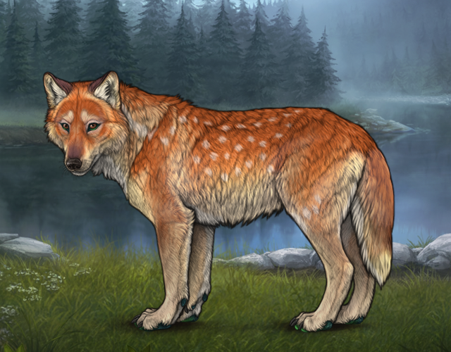 M T3 FOX G3 WWS |:| Wolvden