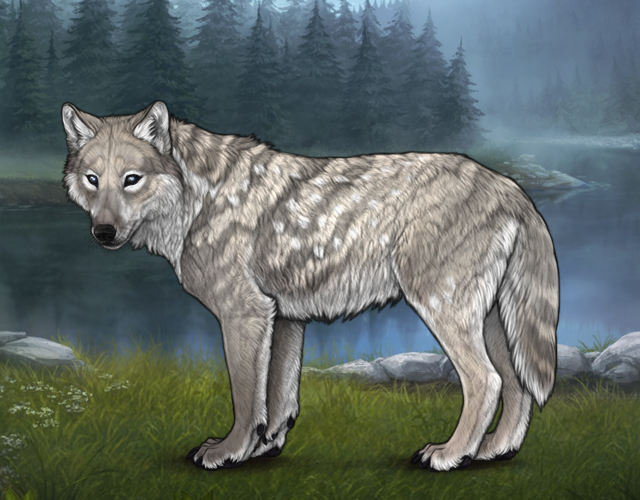 𝒲𝒾𝓃𝒹 |:| Wolvden