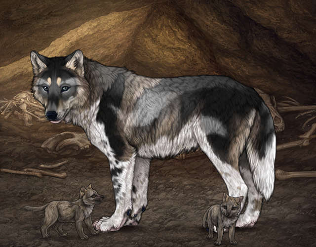 T1 Pie Zerdava |:| Wolvden