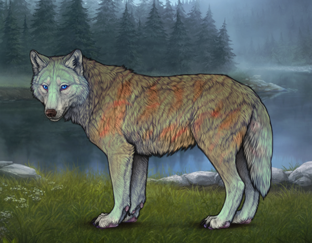 G2 albino carrier |:| Wolvden