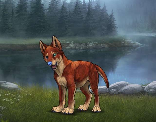 Corundum T3 |:| Wolvden