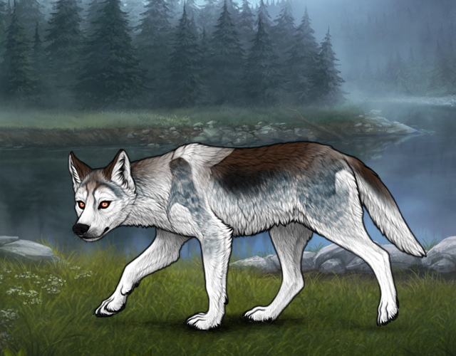 Fox Merle |:| Wolvden