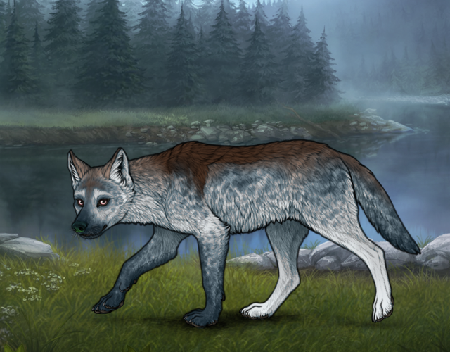 T1 Howlite |:| Wolvden