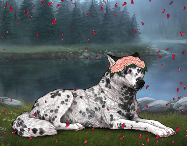 Miska | NIB G4, Grulla Base, Lunisolar Eyes, 10 Marks, Piebald | VLF/IB Friendly | 1 GC or 200 ...