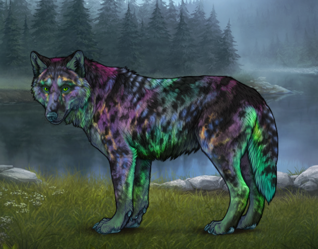 M Tl 8M G2 |:| Wolvden