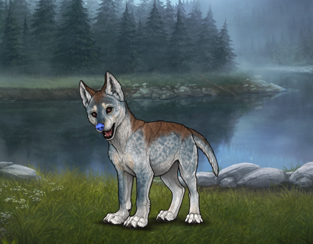 New Runt Puppy |:| Wolvden