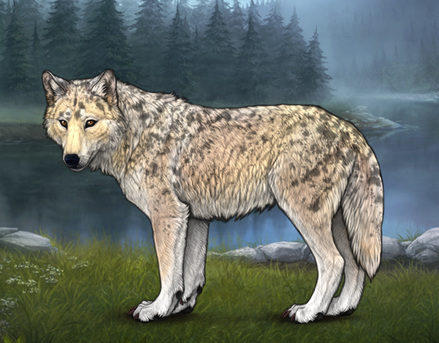 Zircon Cara IV Carrier |:| Wolvden