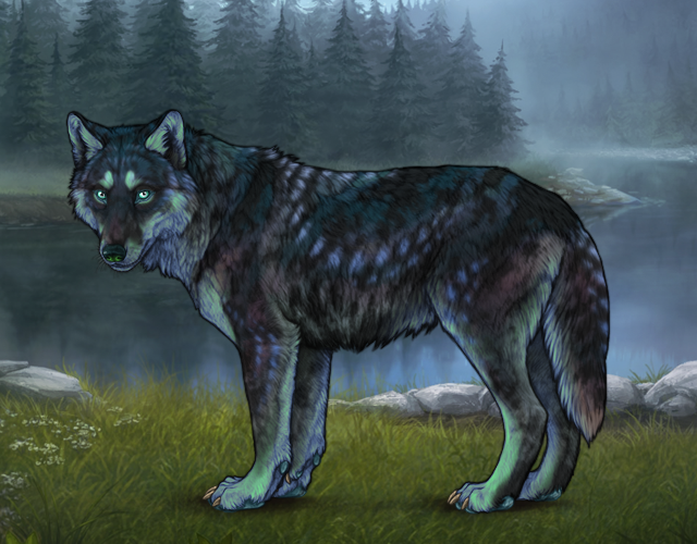 F Airglow 4M G2 Mint |:| Wolvden