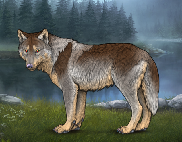 G2 Blueschist |:| Wolvden