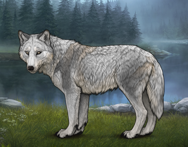 𝒦𝑒𝒶𝓃𝓊🗻 |:| Wolvden