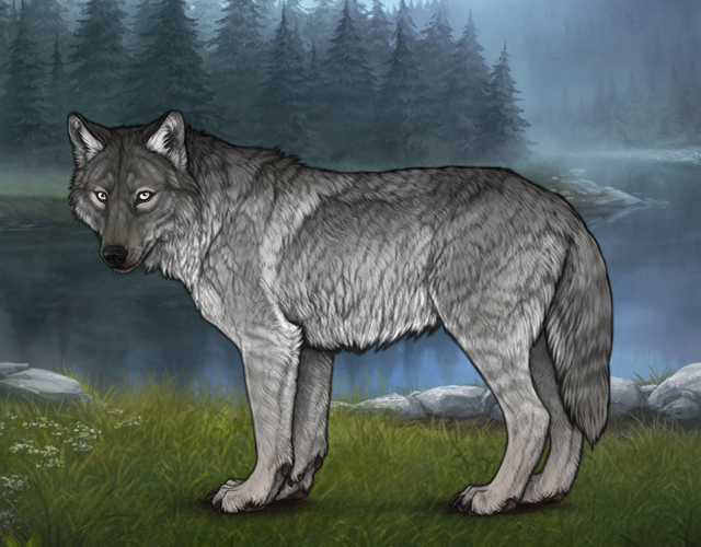 Heart's insight |:| Wolvden