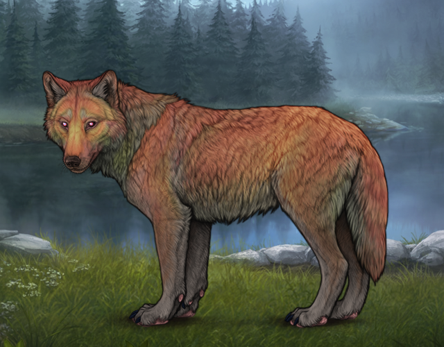 New Puppy |:| Wolvden