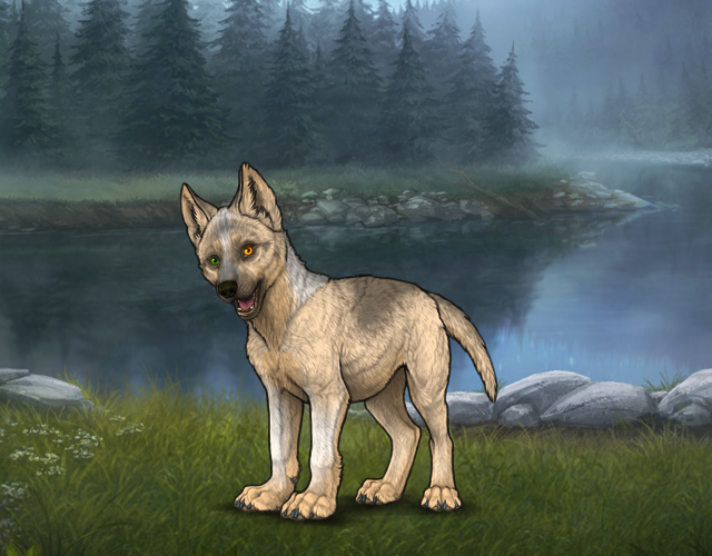 M | T1 | 6M |:| Wolvden