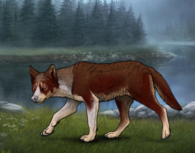 Chased Wolf Spotting - Revamped |:| Wolvden