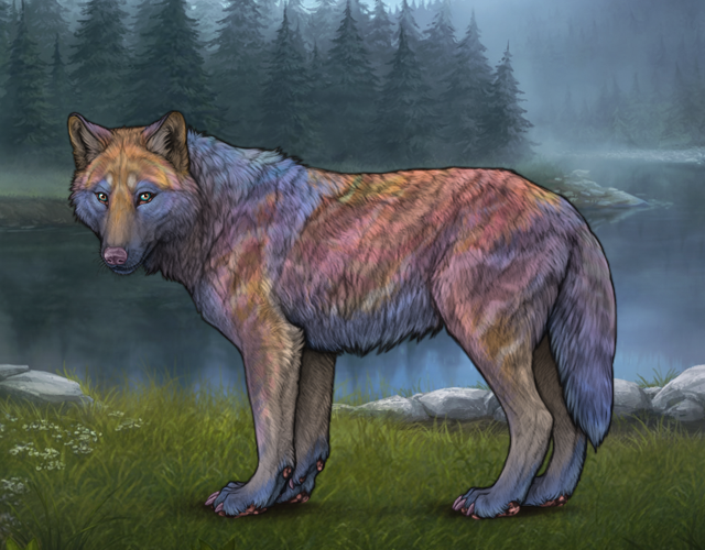 6M Novus |:| Wolvden